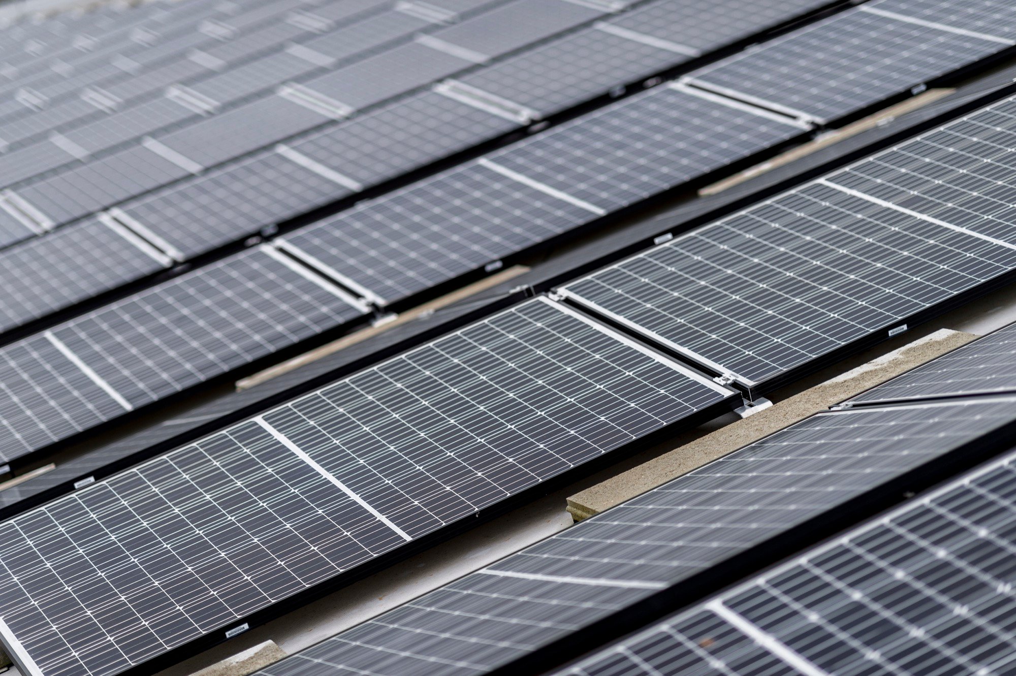 SUUN: Photovoltaik (PV) Module kaufen | neoom